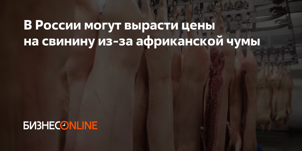 В России могут вырасти цены на свинину из за африканской чумы