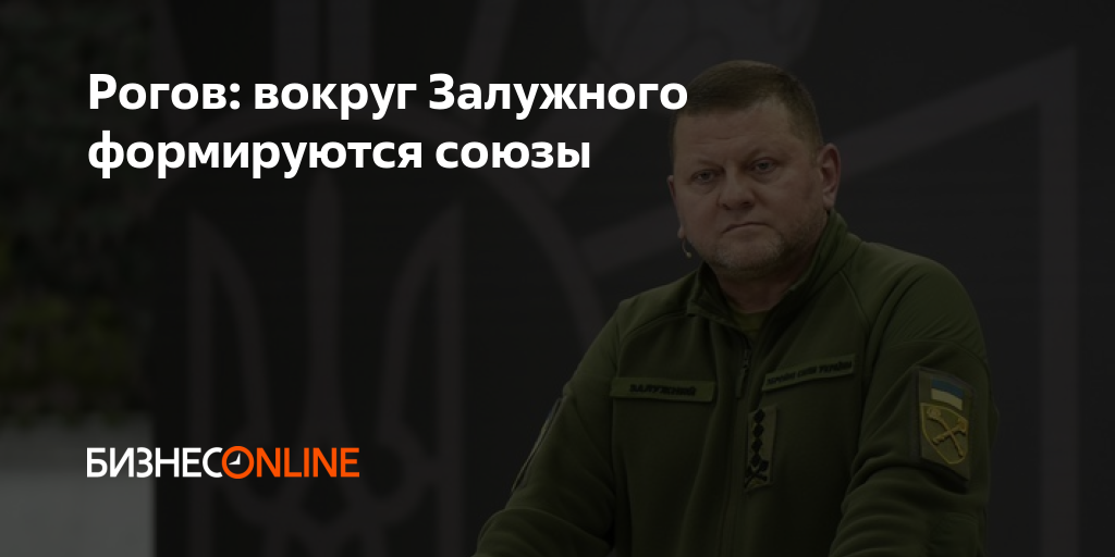 Рогов: вокруг Залужного формируются союзы