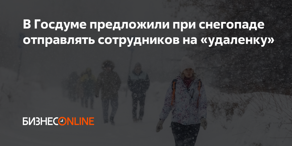 В Госдуме предложили при снегопаде отправлять сотрудников на «удаленку