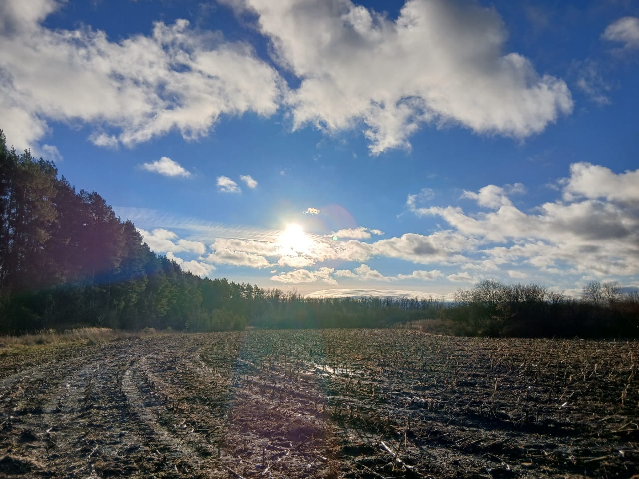 Недалеко от Свияжска нашли поселение, датированное XIX веком